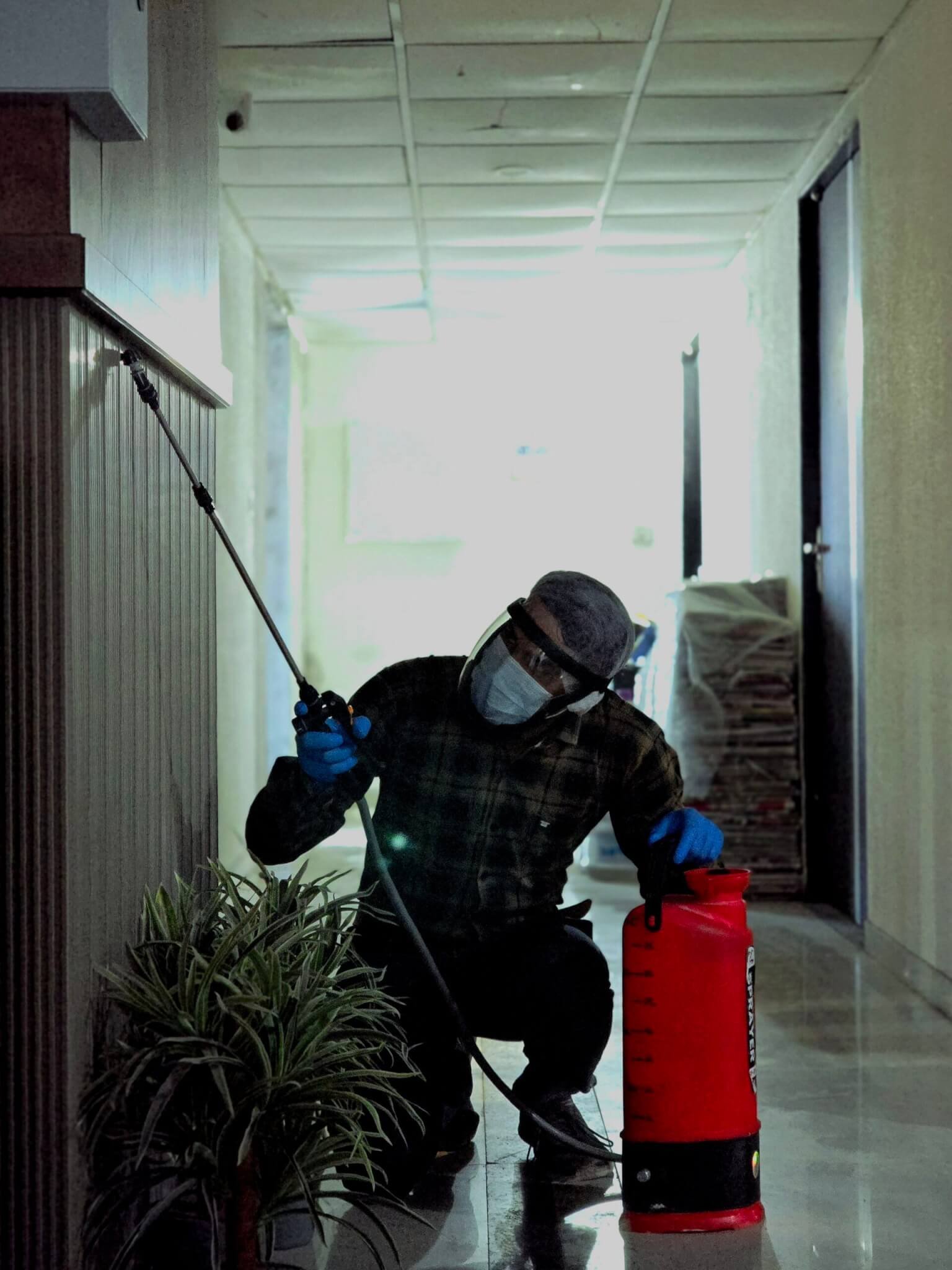Professional Services Pest Control Jaipur by Experts