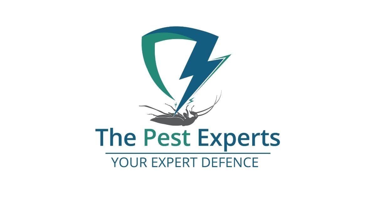 Professional Services Pest Control Jaipur by Experts